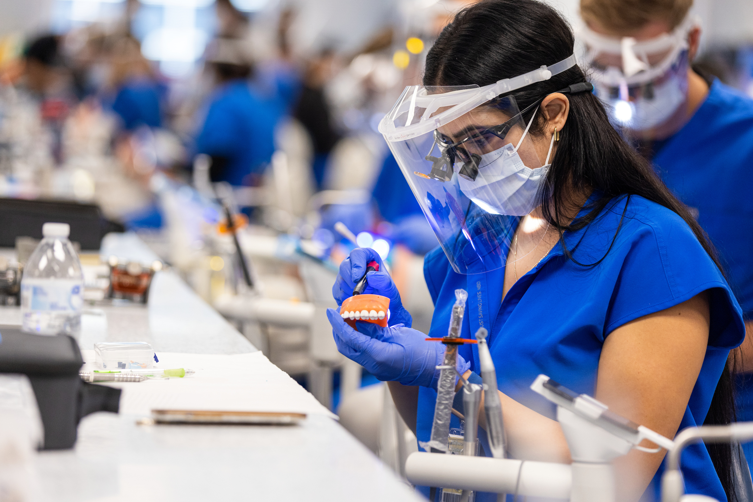 Doctor of Dental Medicine Program | Midwestern University