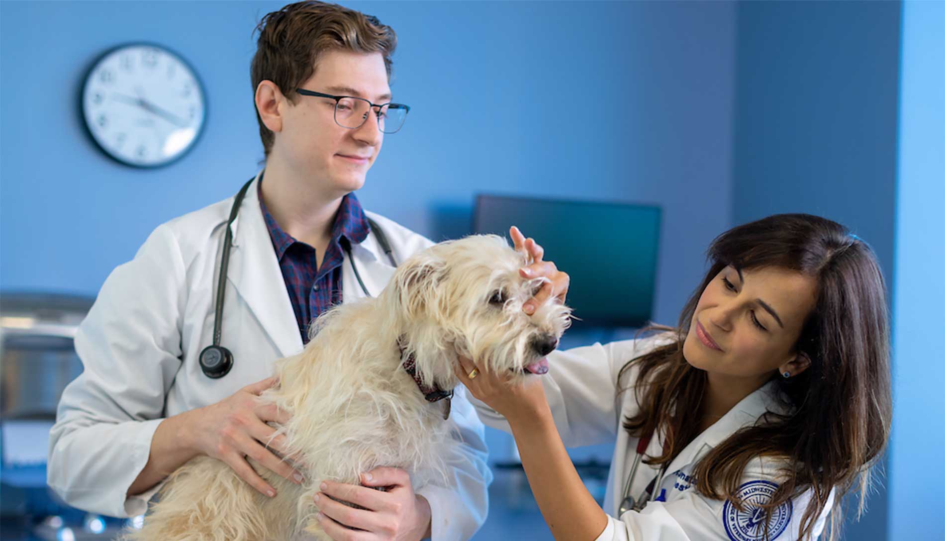 Doctor of Veterinary Medicine Program | Midwestern University