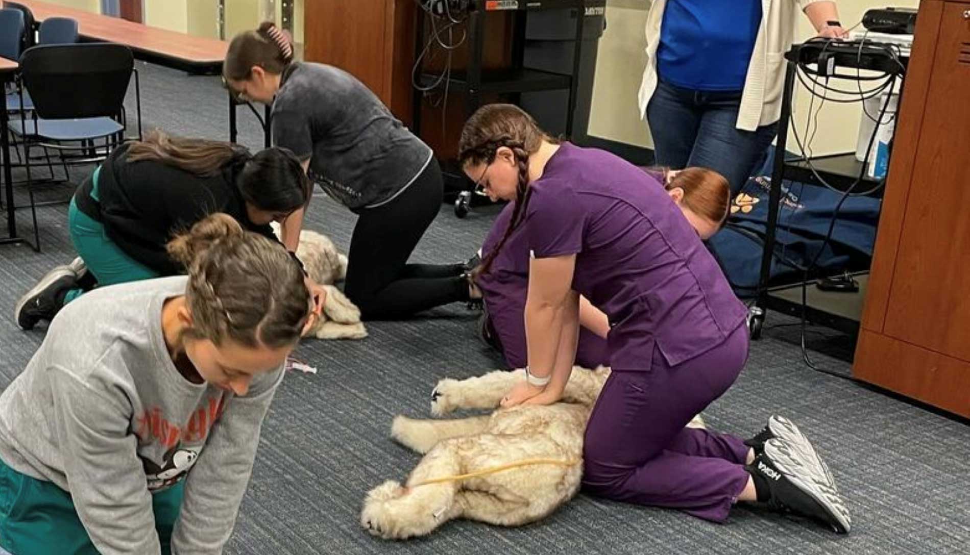 Veterinary Students Learn Lifesaving Skills during RECOVER BLS & ALS ...