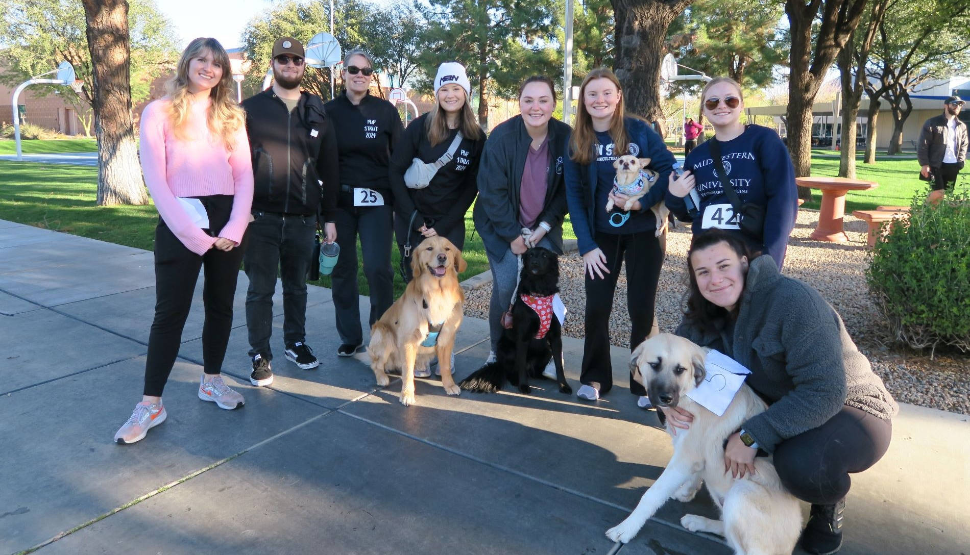 Pup Strut Race for Dog Owners and Pets Offers a Chance to Give Back to ...