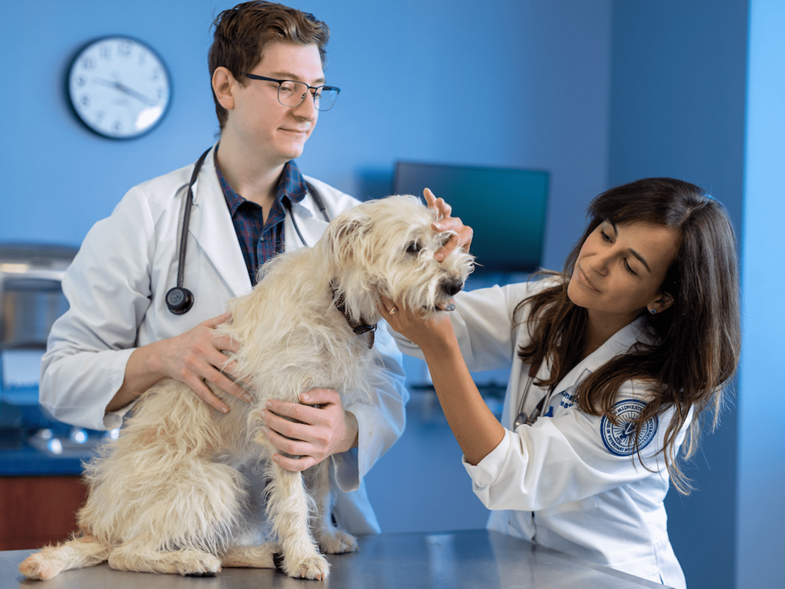 Doctor of Veterinary Medicine Program | Midwestern University