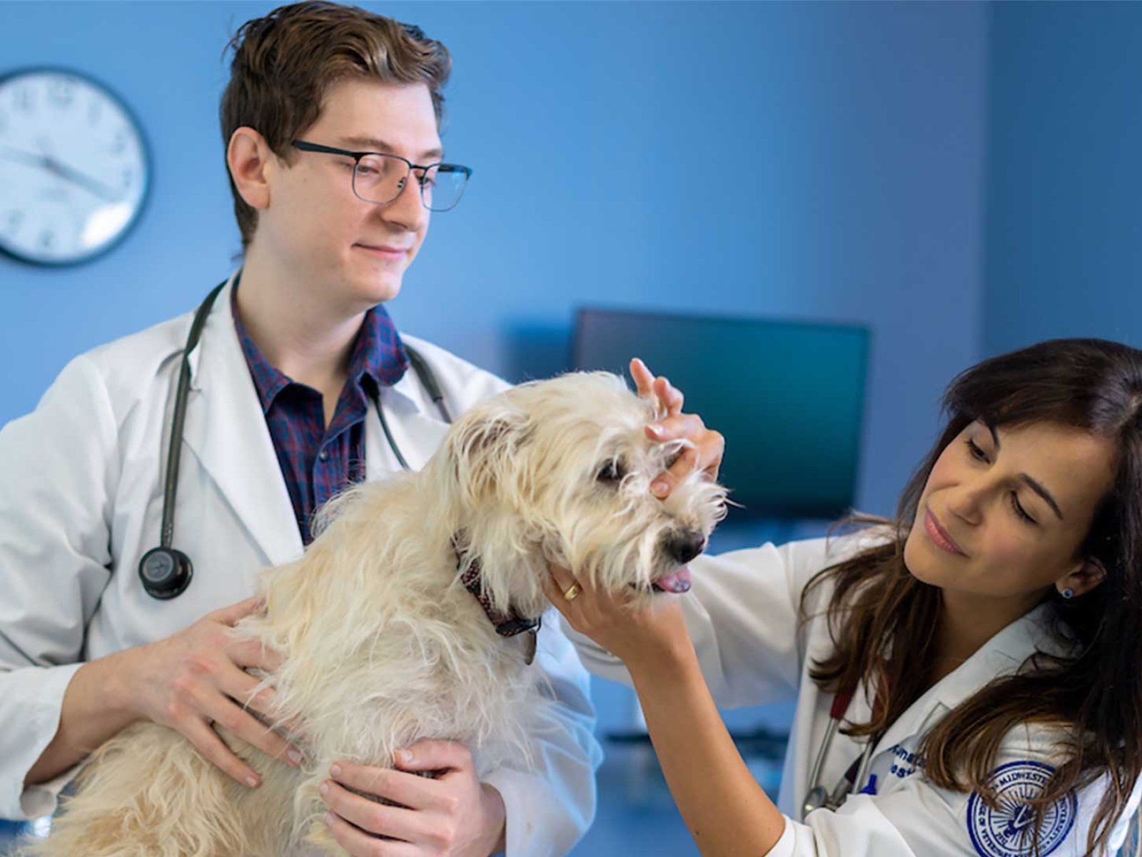 Doctor of Veterinary Medicine Program | Midwestern University