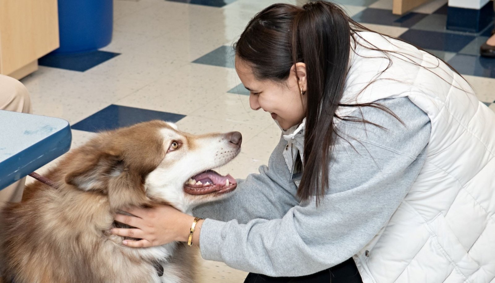Midwestern University Offers Therapy Dogs to Relieve Student Stress ...