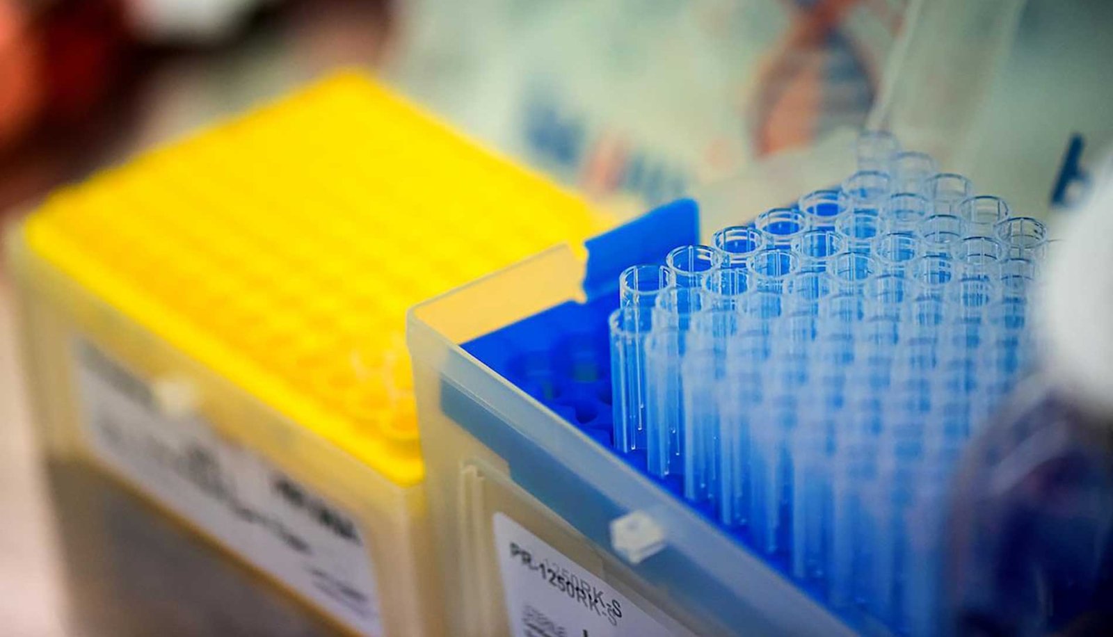 What to Know About the Current Measles Outbreak | Midwestern University