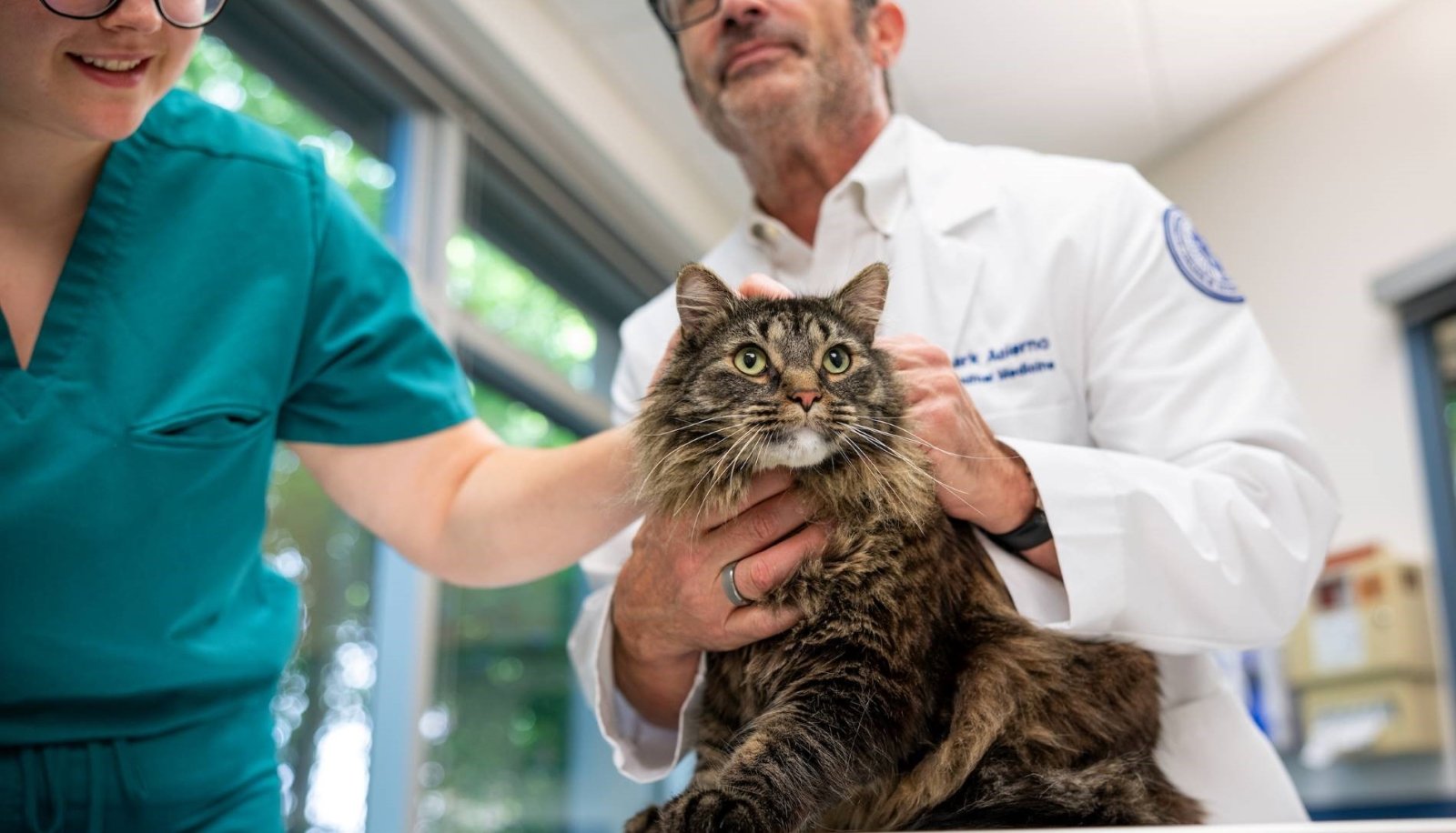 Doctor of Veterinary Medicine, Chicago College of Veterinary Medicine ...
