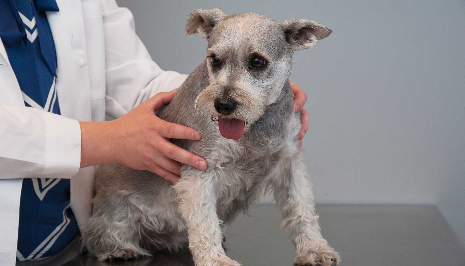 Lab-Reference Interval Study | Midwestern University