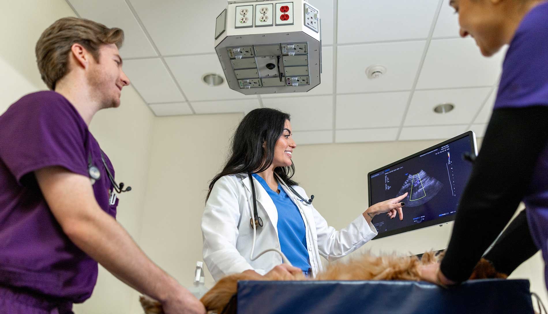 Support the College of Veterinary Medicine and Help Animals ...