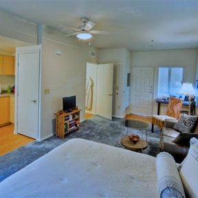 Housing - AZ | Midwestern University