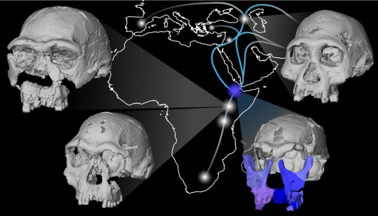 MWU Researcher Discovers New Insight Into Early Human Migration ...