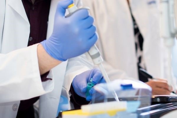 Research Projects Give Midwestern University Students Experience ...